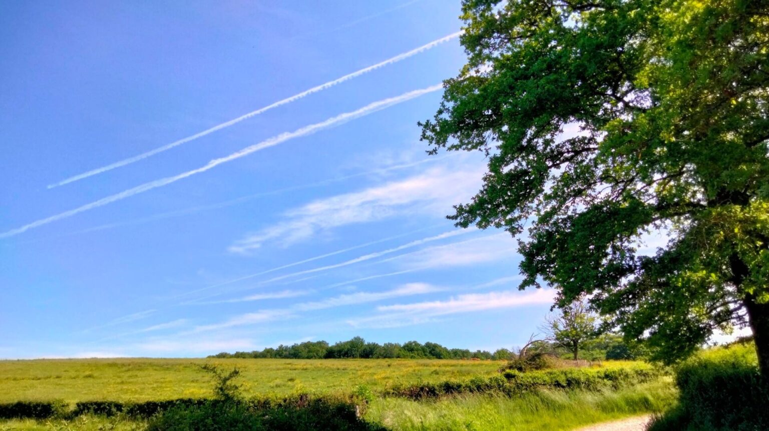 Guide Marigny Eglise *** - Visite Privée (2h) - Guides de France