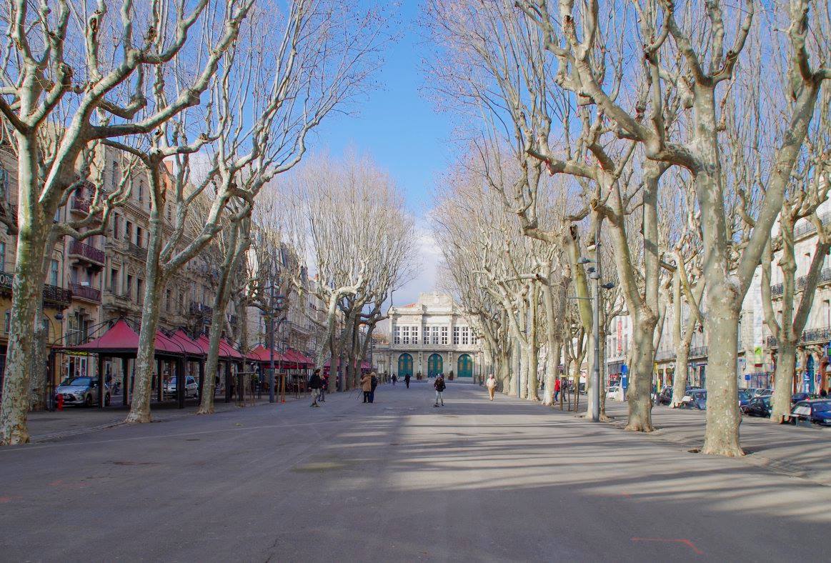 Grand site Occitanie : Allées Paul Riquet Béziers - Réservez un guide