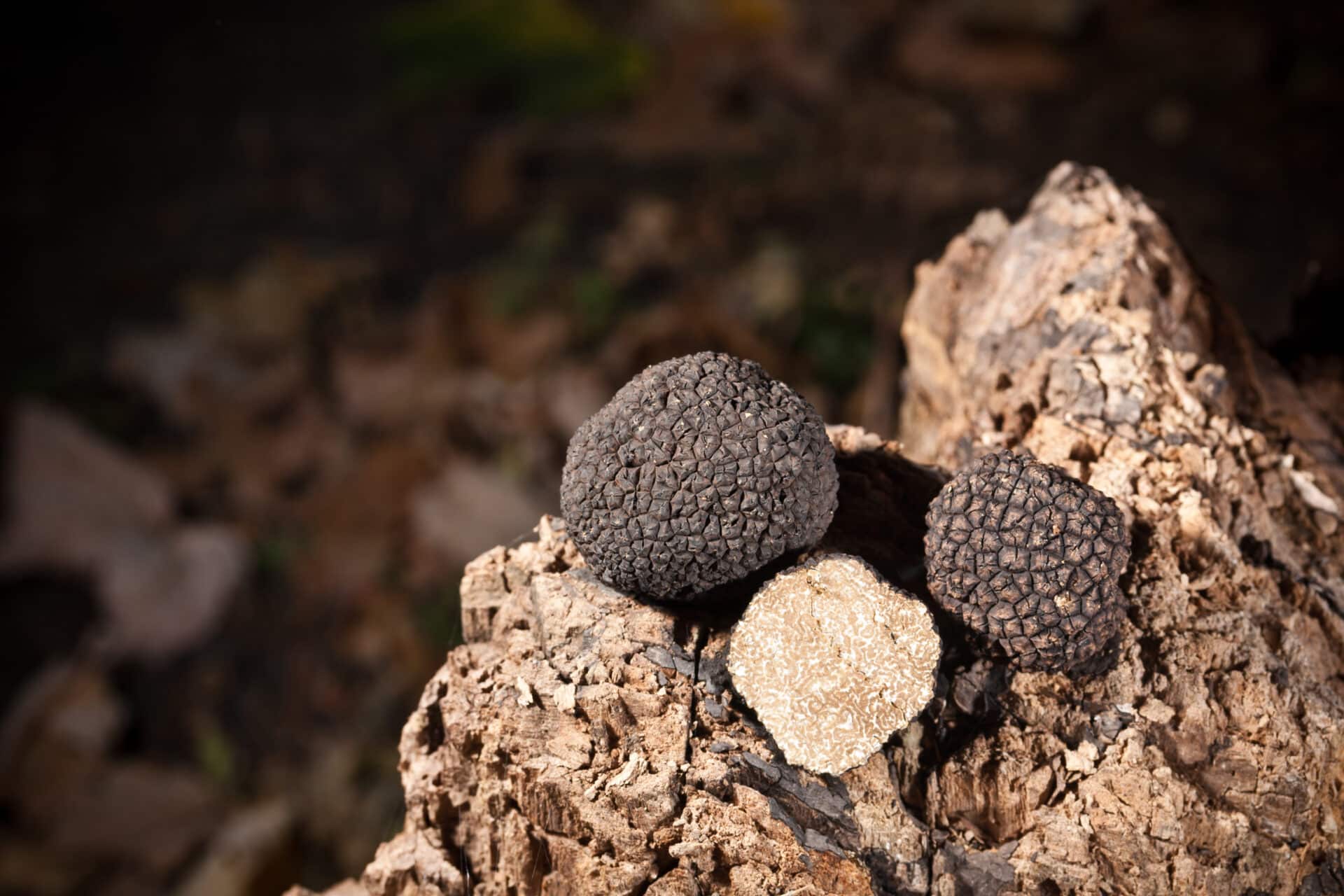 Spécialités de l'Ardèche : des saveurs qui enchantent les papilles ...
